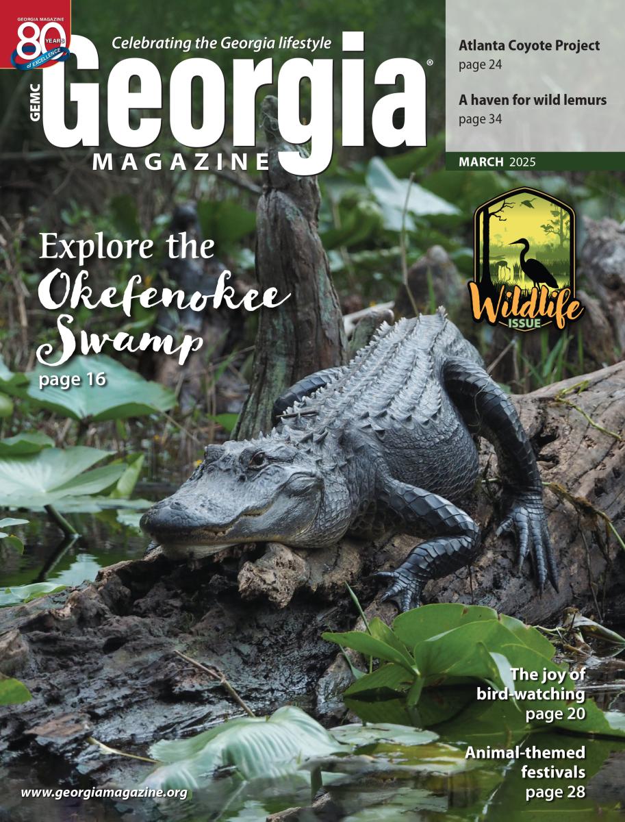 Current Issue | Georgia Magazine