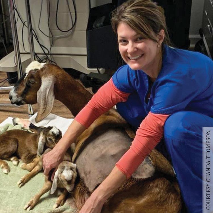 Front page | Georgia Magazine